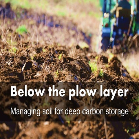 Soil restoration using compost | PDF
