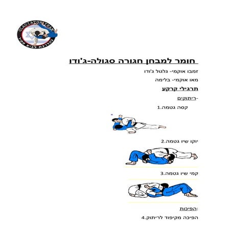Belts Pdf