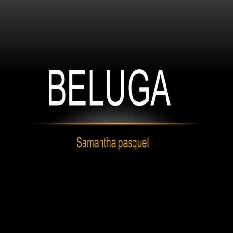 Beluga whale | PPT