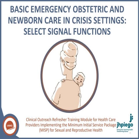 Emergency Obstetrics And Neonatal Care Pptx