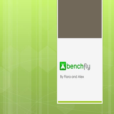 BenchFly | PPT