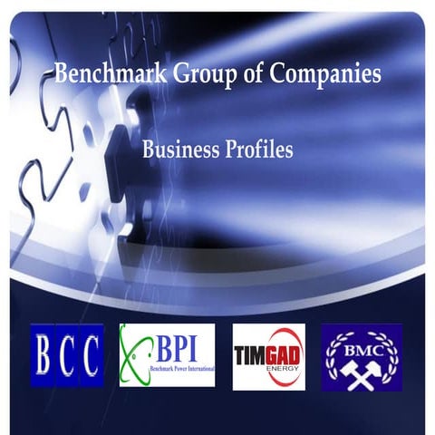 Benchmark Group Of Companies Business Profiles | PDF