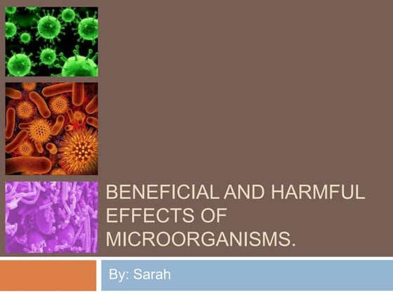 Harmful and Useful Microorganisms Presentation | PPT