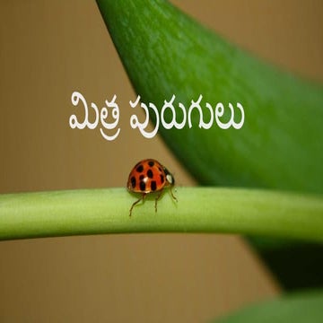 Beneficial insects (telugu) | PDF