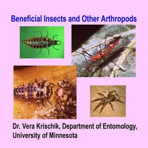 beneficial insects and other arthropods.ppt