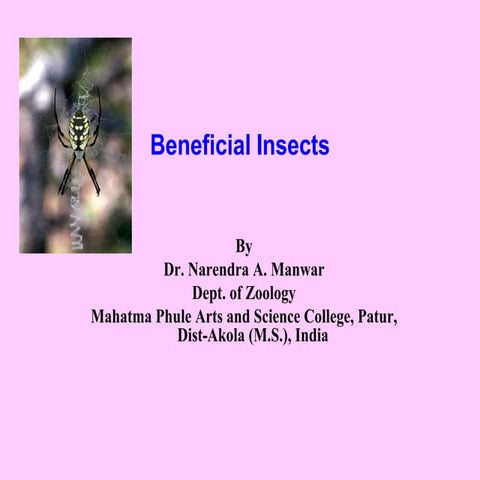 Beneficials insects | PPT