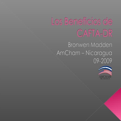 Beneficios de CAFTA-DR | PDF
