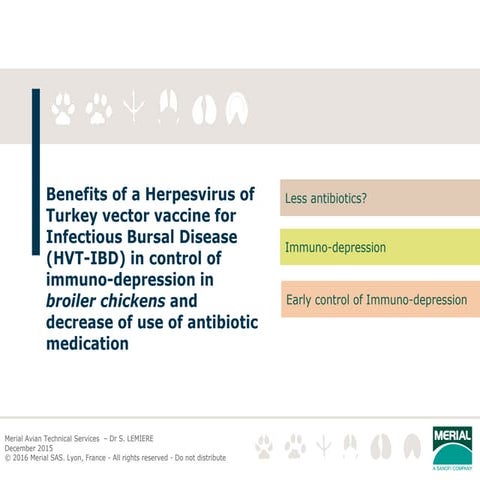 Benefits of a Herpesvirus of turkey vector vaccine for IBD.pdf