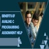 Benefits Of Availing C Programming Assignment Help.pptx