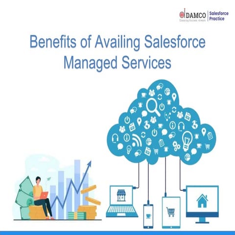 Salesforce CRM Managed Services A Beginner's Guide | PDF
