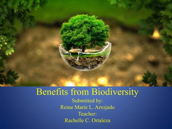 Biodiversity | PDF