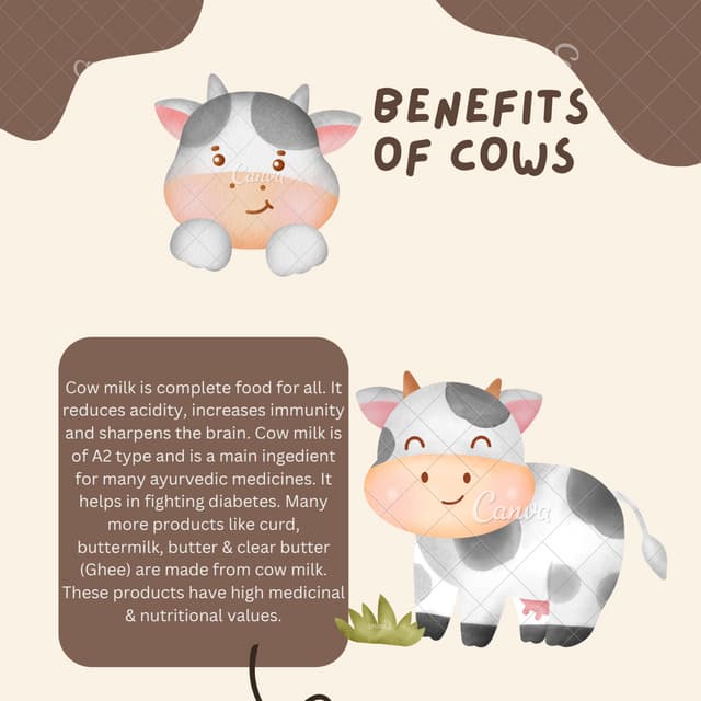 Benefits of Cows.pdf