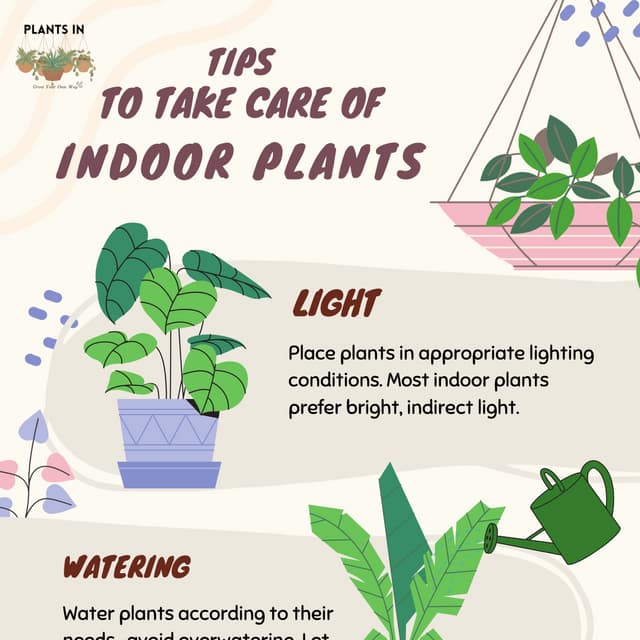 Benefits of indoor plants and advantages | PDF