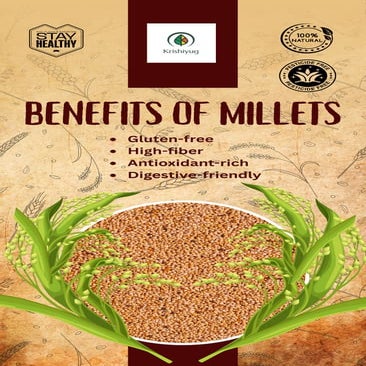 Benefits of Millets | Krishiyug offers all the types of Millets | PDF