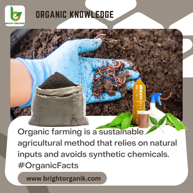 Benefits of organic farming.pdf