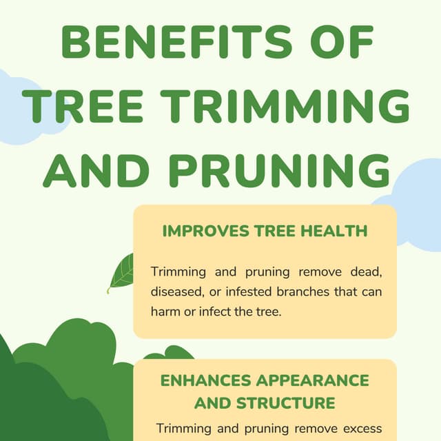 Benefits of Tree Trimming and Pruning | PDF