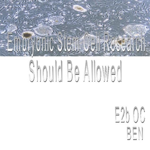 The Promise of Human Embryonic Stem Cell Therapies | PDF