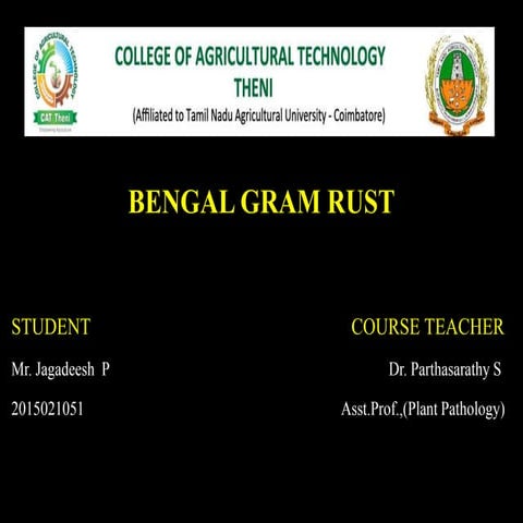 Bengal gram rust | PPTX