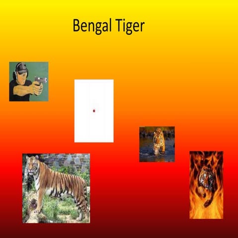 Adaptation-of-Tigers-to-Tropical-Environments-The-Malayan-Tiger.pptx