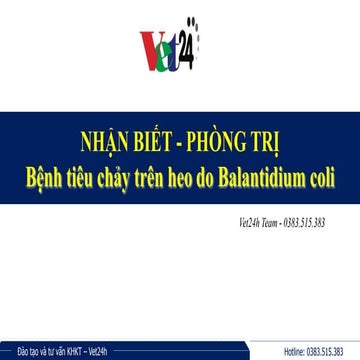 Benh do balantidium coli vet24h | PPT