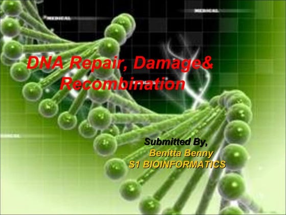 DNA Damage and repair mechanism | PPTX