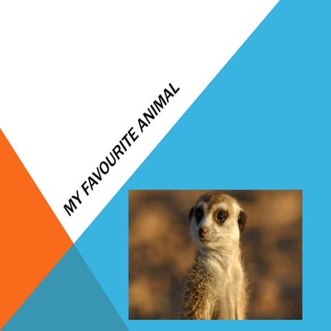 Ben`s favourite animal - Science | PPTX