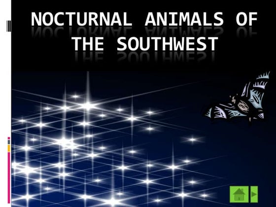 Nocturnal animals | PPTX