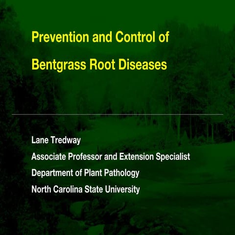 Bentgrass Root Diseases: Diagnosis and Management | KEY