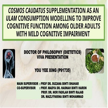 Ben_Viva-presentation-slides (1)-edited.pptx
