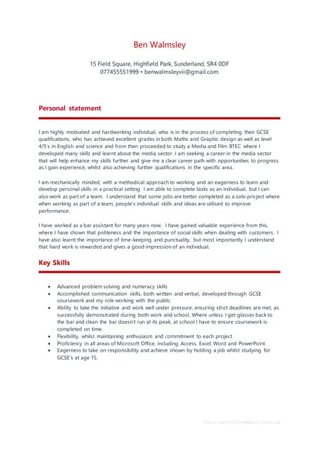 DANIEL SEAN MARTIN CV | PDF