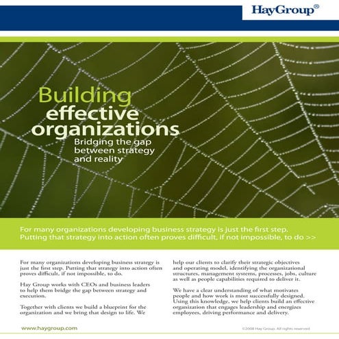 Building Effective Organizations | PDF