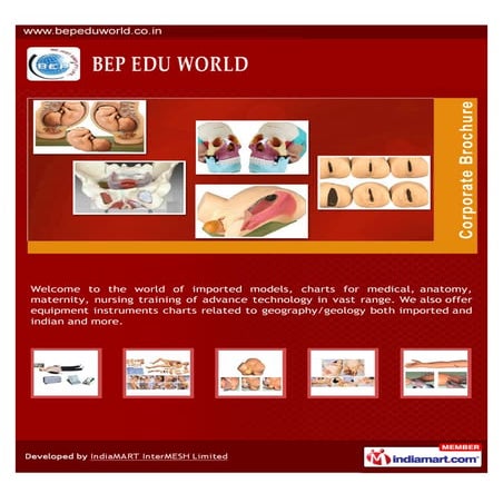 Bep Edu World, Pune, Nursing training | PDF