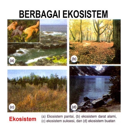 Berbagai Ekosistem | PPT