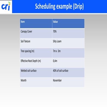 Berekeninge Drip besproeiing.pptx