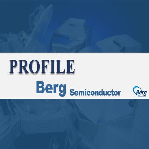 Berg semi company profile | PDF | Business | Business and Finance