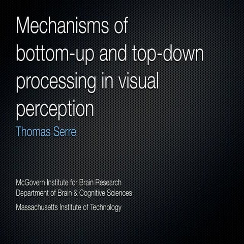 Mechanisms of bottom-up and top-down processing in visual perception | KEY