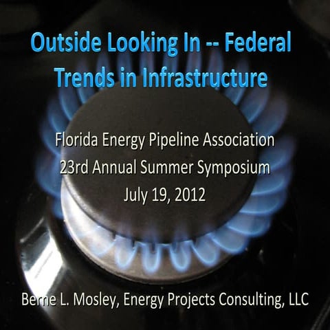 2012 FEPA Presentation: Berne Mosley | PPT | Commodities | Economy