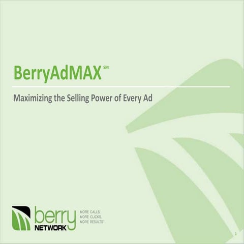 Berry Ad Max Presentation | PPT