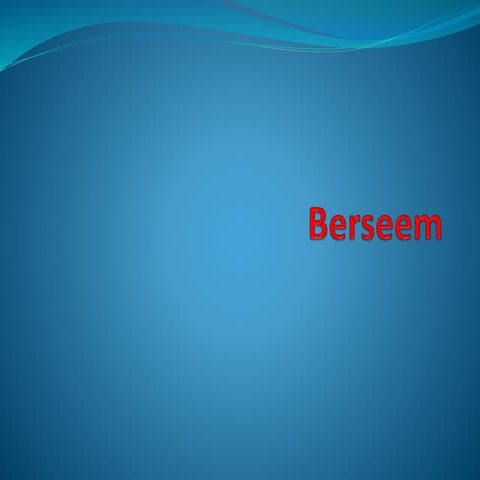 berseem crop production and its cultivation .pptx