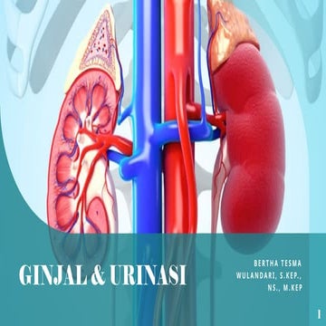 Bertha T Wulandari - Sistem Urinasi & Ginjal.pptx