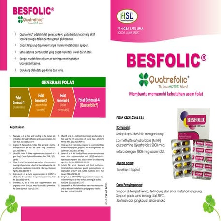 Besfolic brochure.pdf