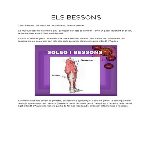 Els Bessons | PDF