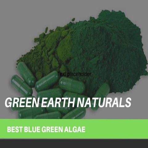 Best blue green algae | PPT