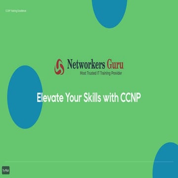 Networkers guru