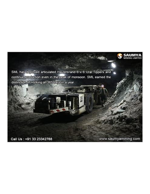 Saumya mining limited ashok jain | PDF