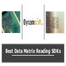 Best Data Matrix Reading SDKs | Dynamsoft Developers | PPT