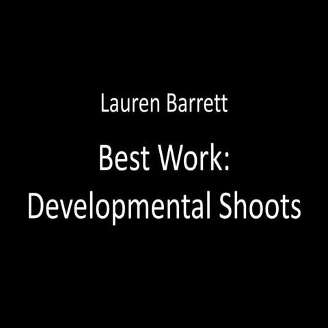 Best Developmental Work | PPTX