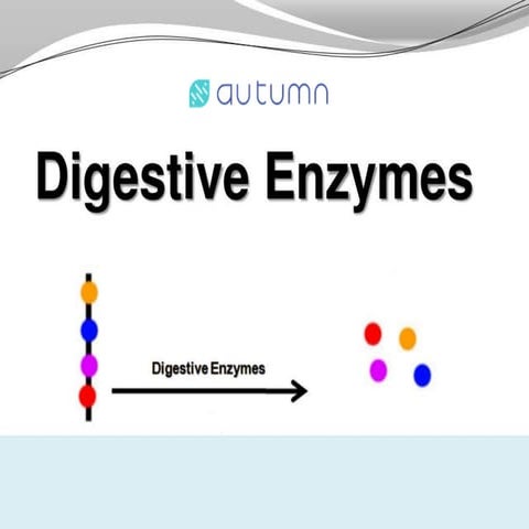 Best Digestive Enzymes | PPTX