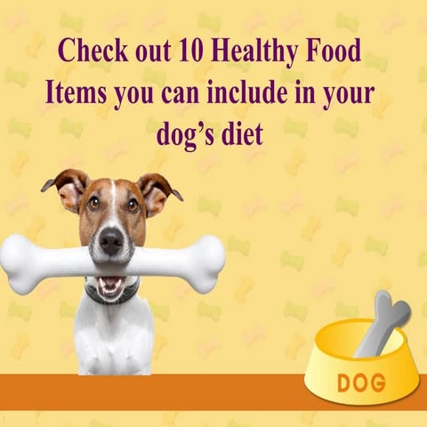 Best food diet plan for your dog | PPT