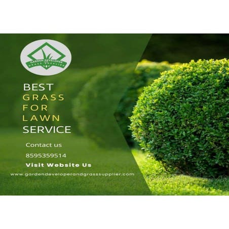 Best Grass for Lawn in India | Top-Quality Lawn Grass for Beautiful ...